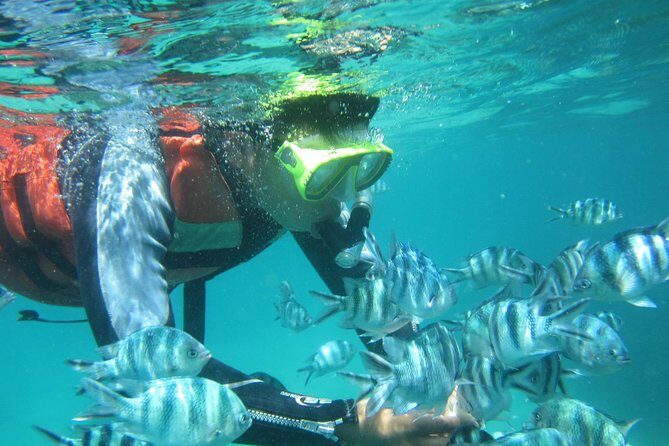Snorkeling Tour at Blue Lagoon with Private Hotel Transfer - FAQ: Your Questions About the Blue Lagoon Snorkeling Tour