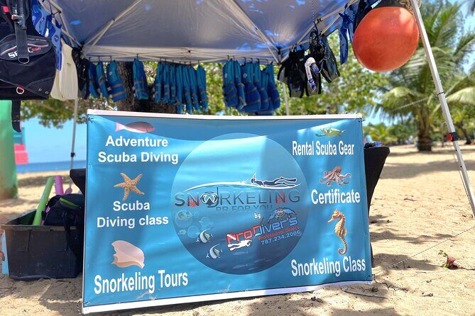 Snorkeling Tour at Cerro Gordo Beach Vega Alta Puerto Rico - An Overview of the Snorkeling Experience at Cerro Gordo Beach