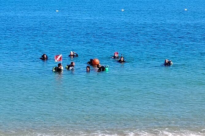 Snorkeling Tour at Cerro Gordo Beach Vega Alta Puerto Rico - Authentic Marine Encounters in a Protected Setting