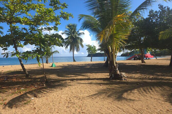 Snorkeling Tour at Cerro Gordo Beach Vega Alta Puerto Rico - Who Should Consider This Tour?