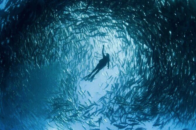 Snorkeling Tour at Land's End in Cabo San Lucas - Who Is This Tour Best Suited For?