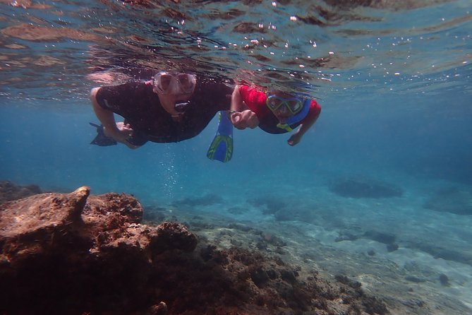 Snorkeling Tour - Who Will Love This Tour?