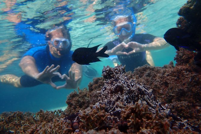 Snorkeling Tour - FAQ