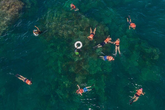 Snorkeling tour in Cabo San Lucas - Price and Value