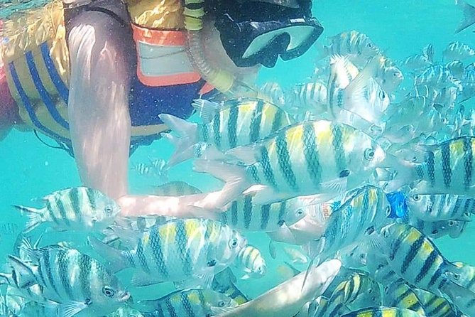 Snorkeling Tour In Gili Nanggu - Overview of the Gili Nanggu Snorkeling Tour