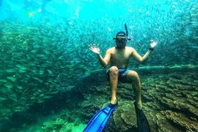 Snorkeling Tour In Gili Nanggu - What Travelers Say