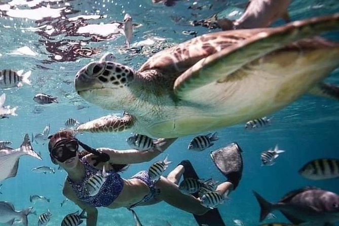 Snorkeling Tour In Gili Trawangan, Gili Meno And Gili Air Pick Up From Bali - Detailed breakdown of the itinerary