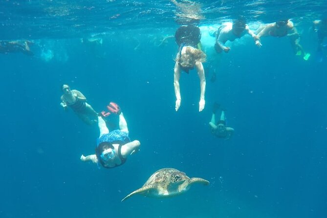 Snorkeling Tour In Gili Trawangan, Gili Meno And Gili Air Pick Up From Bali - The real deal: reviews and feedback