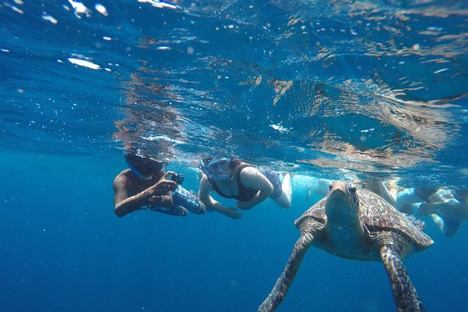 Snorkeling Tour In Gili Trawangan, Gili Meno And Gili Air Pick Up From Bali - The Sum Up