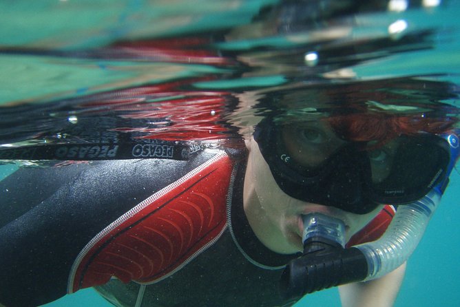 Snorkeling Tour Makarska Riviera, Islands of Hvar or Brač - Customer Feedback and Experiences