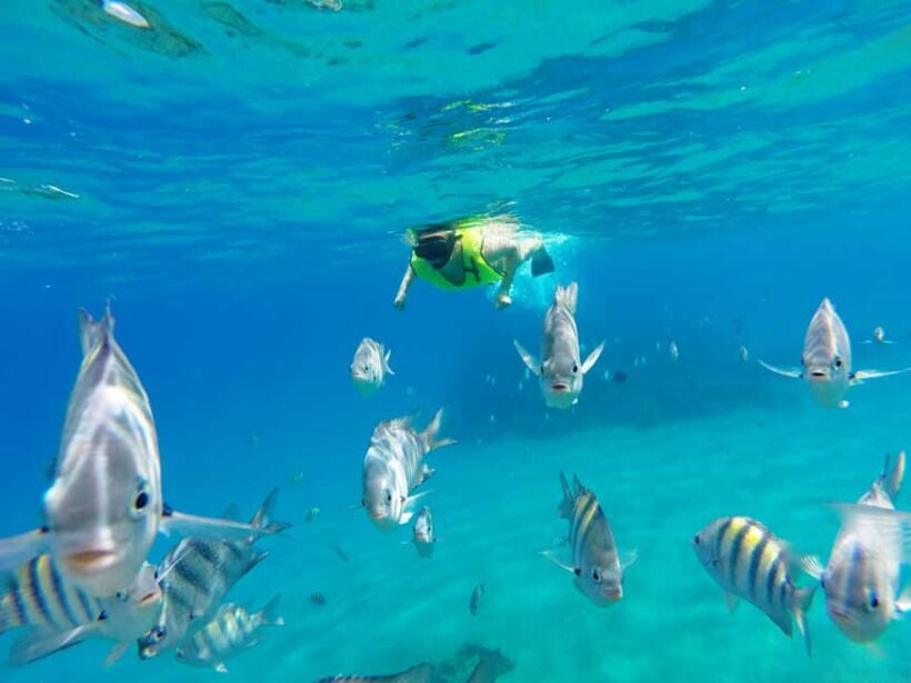 Snorkeling Tour & Sosua Beach Day - Key Points