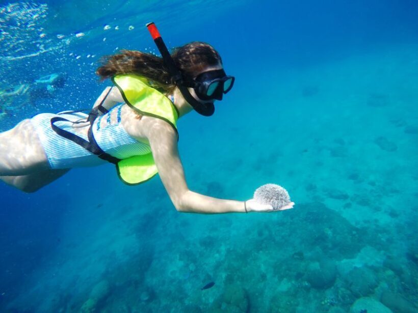 Snorkeling Tour & Sosua Beach Day - FAQ