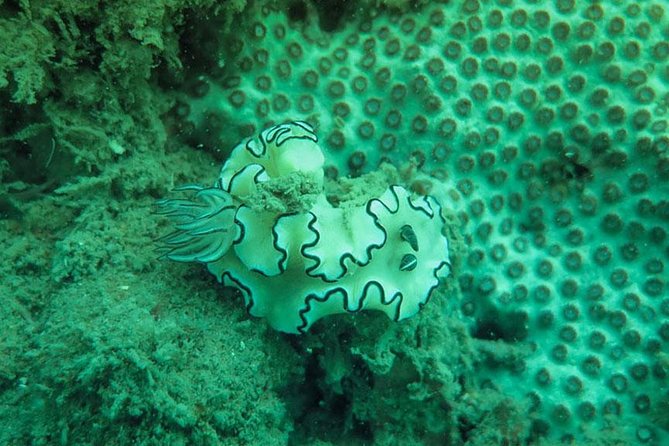 Snorkeling Tour to 4 Islands(Emerald Cave) From Koh Lanta by Speedboat - What the Reviews Reveal