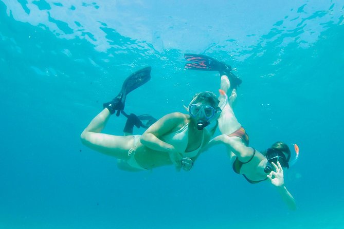 Snorkeling Tour to the Malgrats Islands by boat - Marine Life and Snorkeling Experience