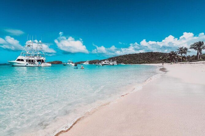 Snorkeling Tour to Vieques Island only 30 minutes away! - The Itinerary: A Day in the Life of a Snorkeler