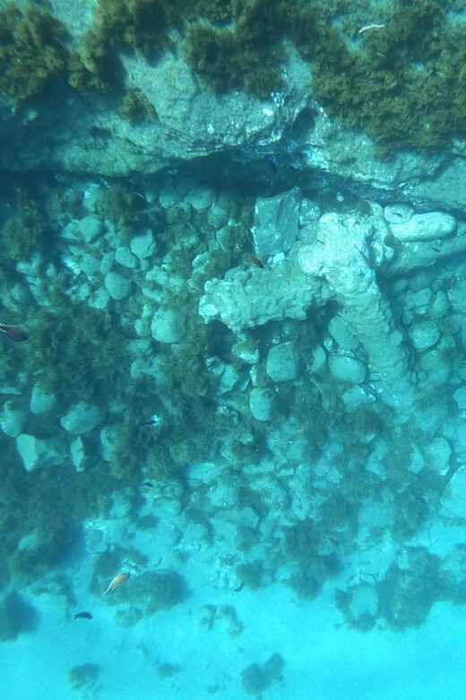 Snorkeling Tour- Vila Franca do Campo Islet - What the Reviews Say