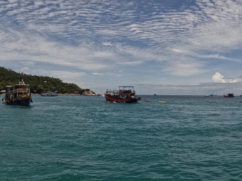 Snorkeling Tour with meals and BBQs - Cocktail - Sunset - The Value for Money