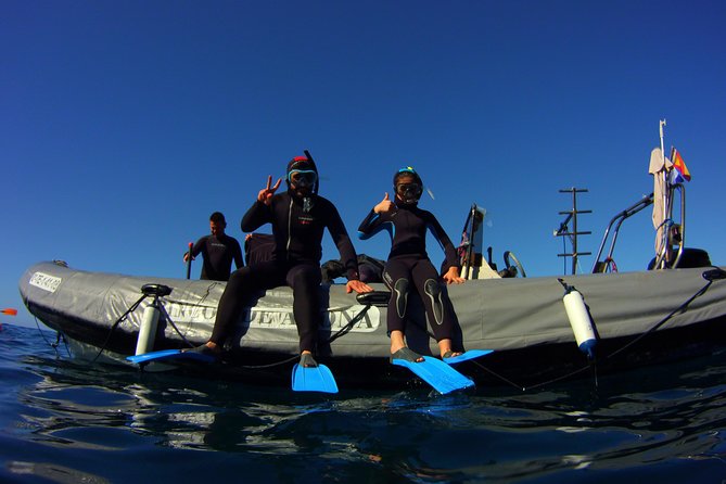 Snorkeling Tour With Sea Turtles and Stingrays - Exploring Tenerifes Underwater Wonders