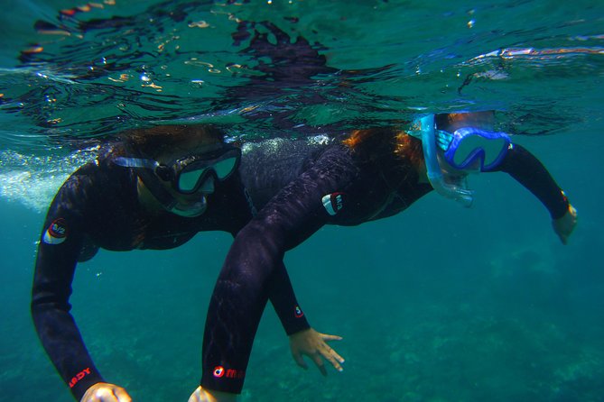 Snorkeling Tour With Sea Turtles and Stingrays - Small Group Dynamics and Personalized Experience