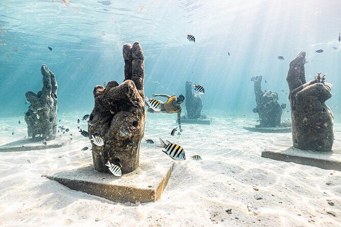 Snorkeling Tour with Turtles and Stingrays Puerto Morelos - Key Points
