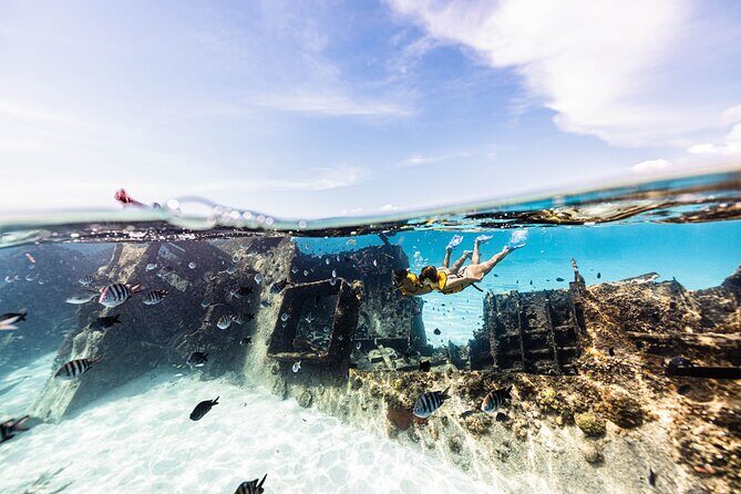 Snorkeling Tour with Turtles and Stingrays Puerto Morelos - Who Should Consider This Tour?