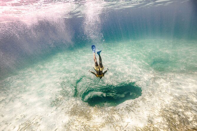 Snorkeling Tour with Turtles and Stingrays Puerto Morelos - Final Thoughts on the Experience