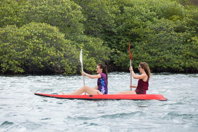 Snorkeling & Trekking at West Bali National Park - The Value Proposition