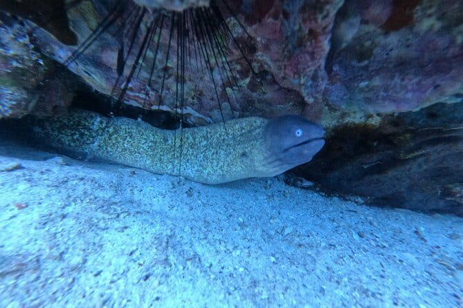 Snorkeling Trip around Koh Kood or Koh Rang Marine Park - Who Is This Tour Best For?