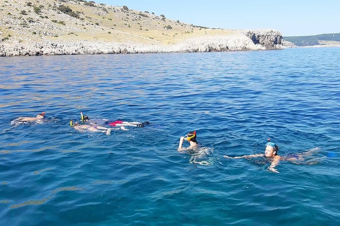 Snorkeling Trip - Crikvenica/ Krk island - Key Points