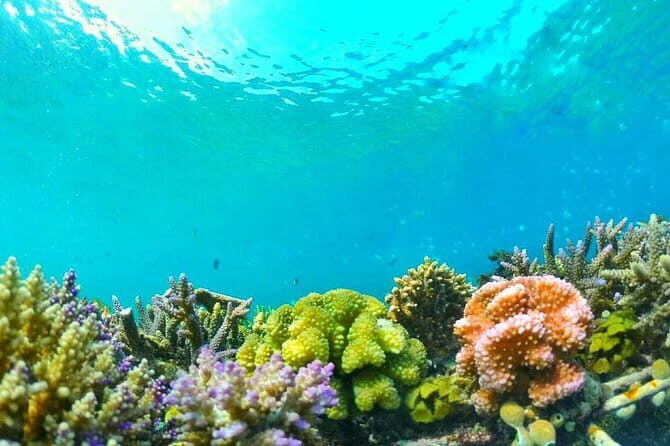Snorkeling Trip Secret Island - An In-Depth Look at the Tour