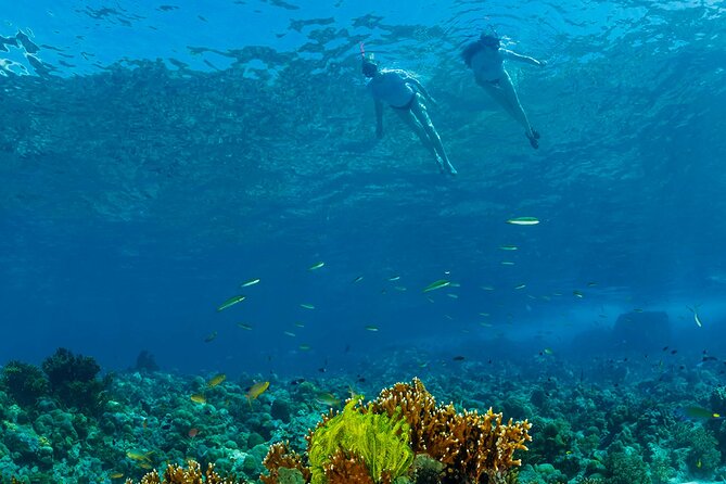 Snorkeling Trip to Menjangan Island - Final Thoughts