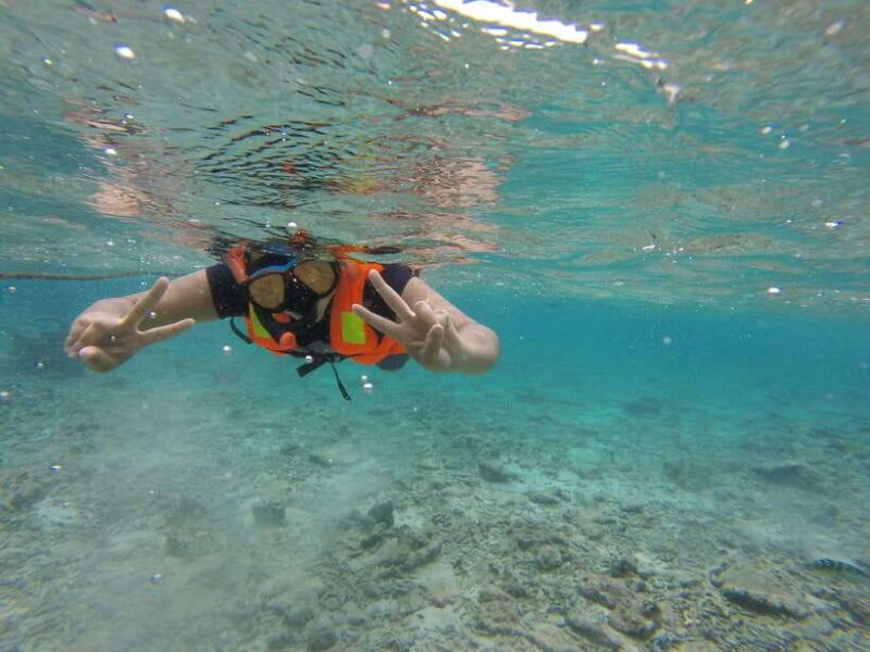 Snorkeling Trip To Pigeon Island - Key Points