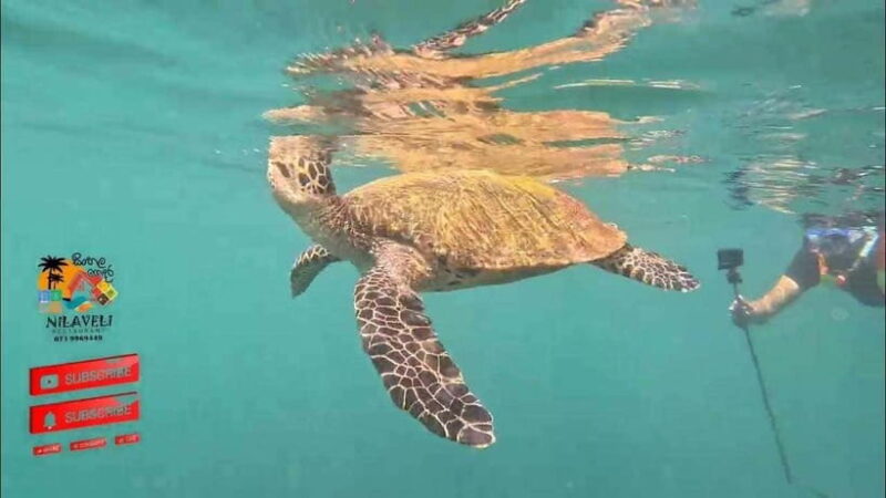 Snorkeling Trip To Pigeon Island - What’s Included and What’s Not