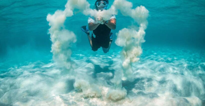 Snorkeling Trips in Amorgos - What to Expect from the Amorgos Snorkeling Trip
