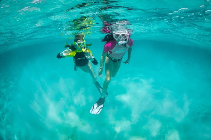 Snorkeling Trips in Amorgos - The Experience: Pros and Cons