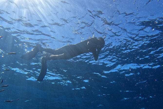 Snorkeling with a Professional Instructor in Tenerife - What Makes This Snorkeling Tour Stand Out