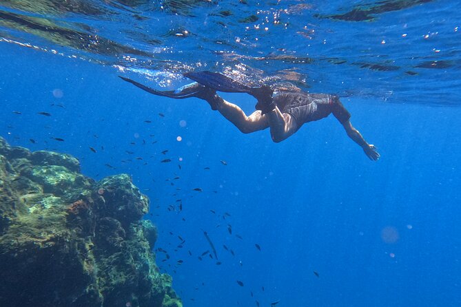 Snorkeling with a Professional Instructor in Tenerife - Accommodation and Meeting Points