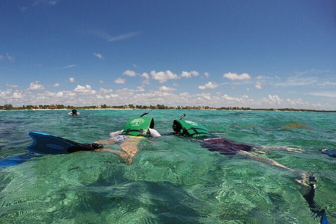 Snorkeling with Caribbean fish and private cenote exploration - Snorkeling in the Caribbean Sea