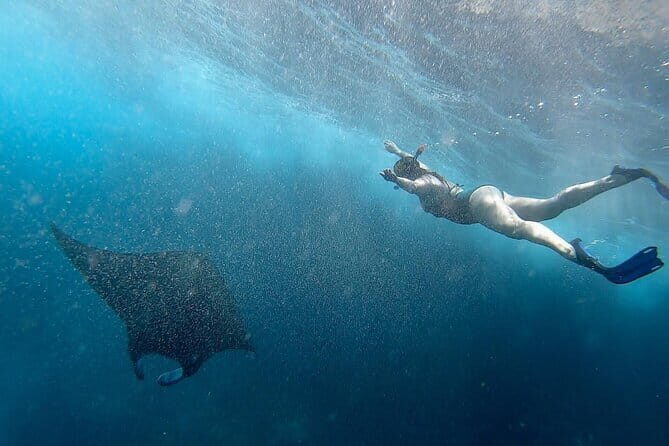Snorkeling with Manta Rays from Maafushi - Who Should Consider This Tour?