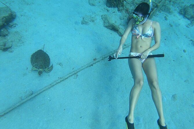 Snorkeling with Sea Turtles - Key Points