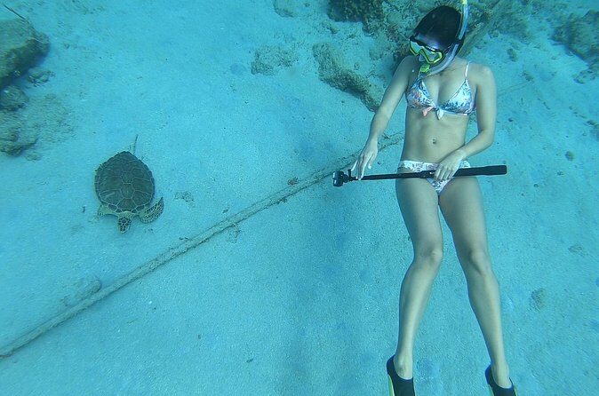 Snorkeling with Sea Turtles - Who Should Consider This Tour?