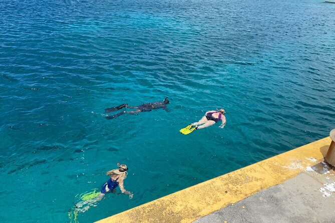 Snorkeling with Sea Turtles - FAQ