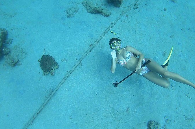 Snorkeling with Sea Turtles - Final Thoughts