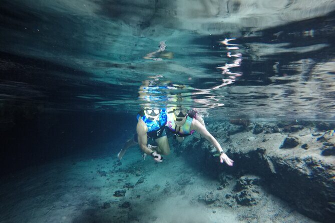 Snorkeling with Sea Turtles and Cenote Adventure - A Closer Look at the Tour Itinerary