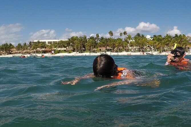 Snorkeling with Sea Turtles and Cenote Adventure - Insights from Reviews
