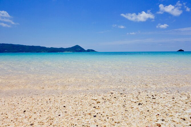 Snorkeling With Sea Turtles - Common Questions