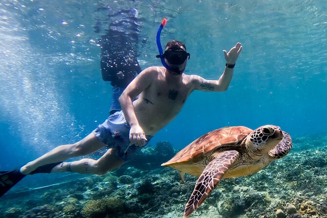 Snorkeling with turtle and statue in Gilis - Frequently Asked Questions
