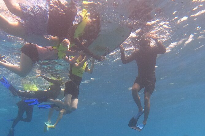 Snorkeling with Turtle/Water Scooter/Paddleboard Adventures Oahu - Why This Tour Stands Out