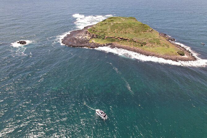 Snorkeling with Turtles  Cook Island Marine Reserve - The Itinerary: What to Expect from Start to Finish