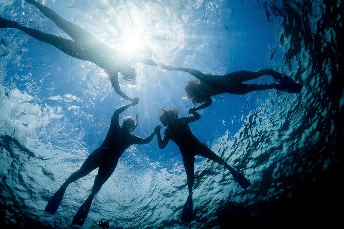 Snorkeling with Turtles  Cook Island Marine Reserve - Authentic Experiences from Previous Travelers